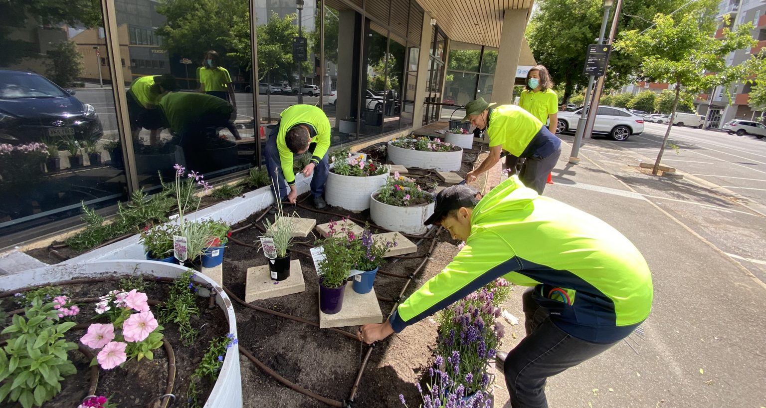 Garden Squad - Youth Options